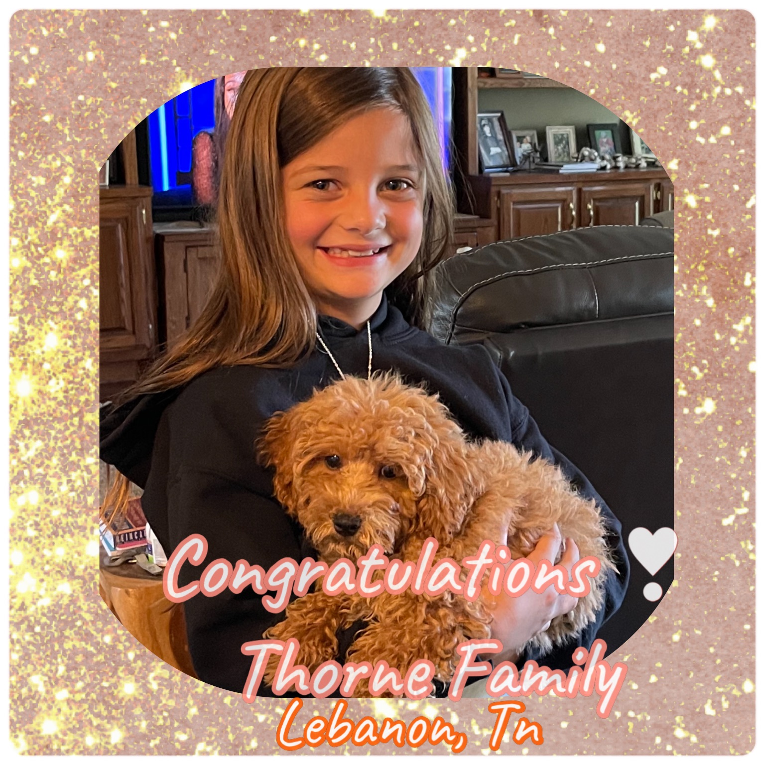 Dutch Toy Poodle Boy Family Teddy Bears